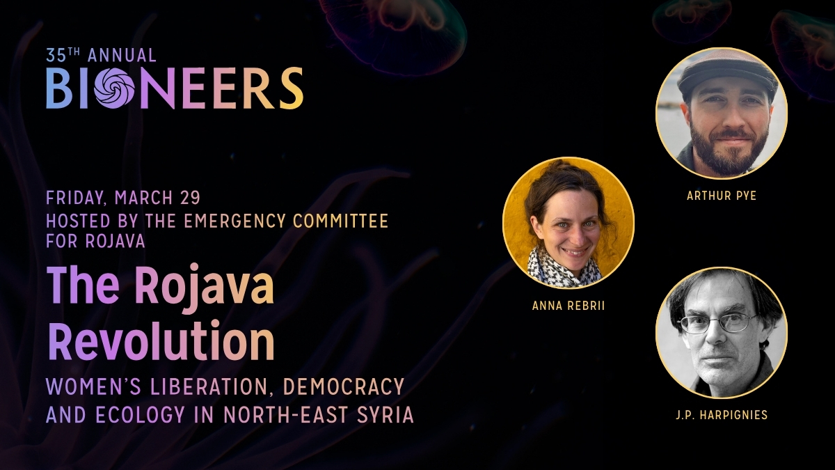 The Rojava Revolution: Women’s Liberation, Democracy and Ecology in ...